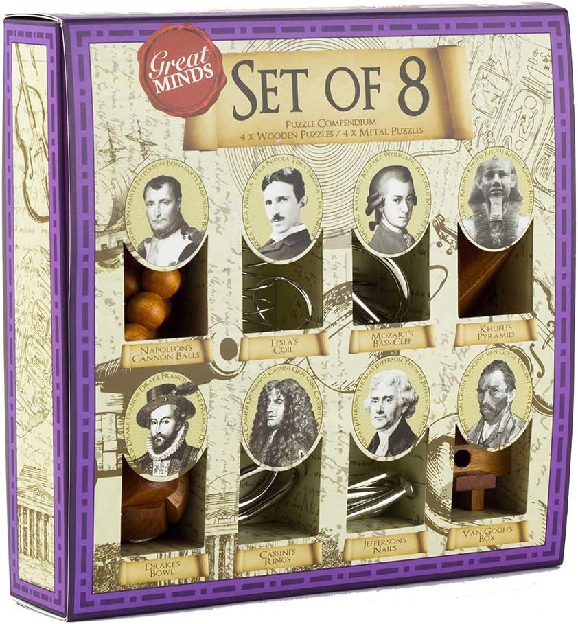 Professor Puzzles Great Minds Brain Teaser Puzzle Set of 8