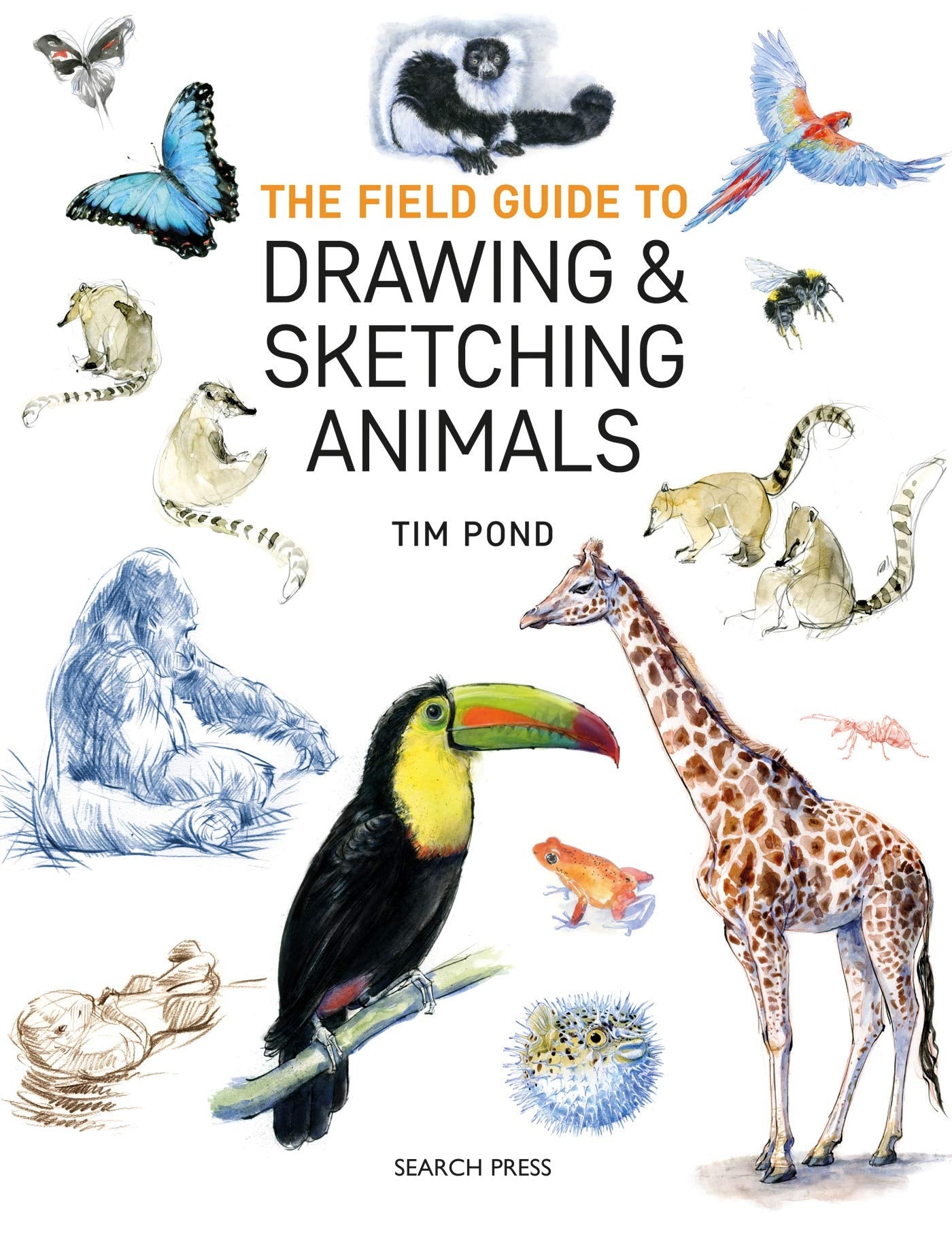 SP - Field Guide to Drawing & Sketching