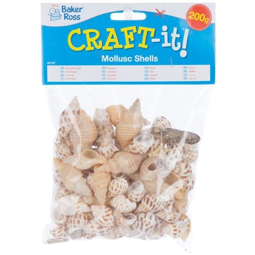 Mollusc Shells (Pack of 200g)